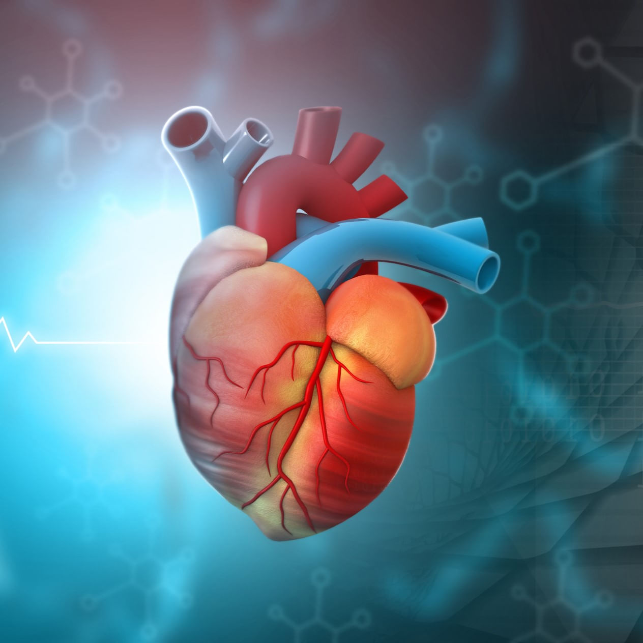 Electrovectorcardiographic clinical cases | HCX - | HCX